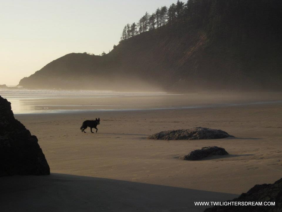 Twilighters Dream: Twilight Movie Filming Location Information