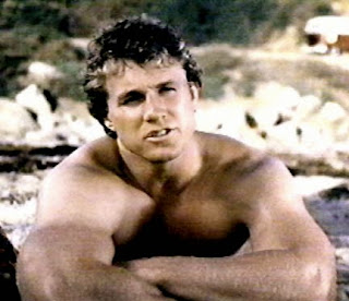 cult film freak: REB BROWN AS CAPTAIN AMERICA IN TWO 1979 TV MOVIES