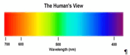 Animal color vision ~ testing posts