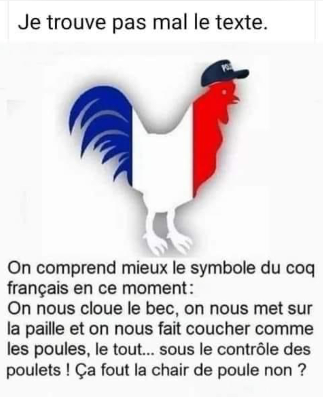 LE REBOUSSIER: Le coq français