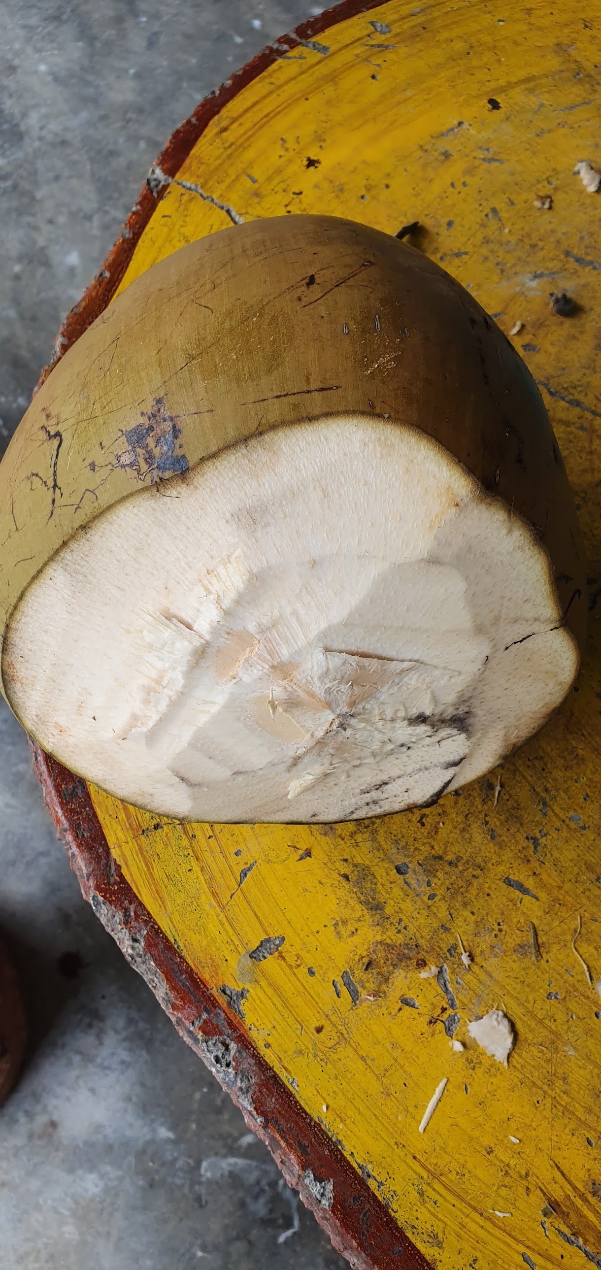 Warisan Petani: The Gun In The Jug