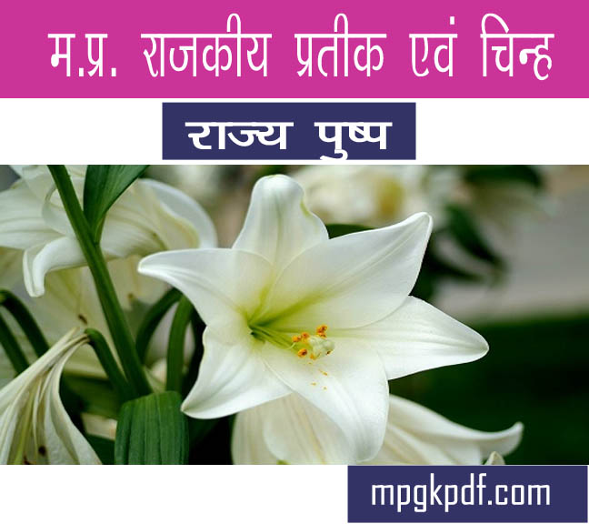 MP Ke Rajkiya Pratik Chinh | State symbols of mp in hindi - GK in Hindi ...