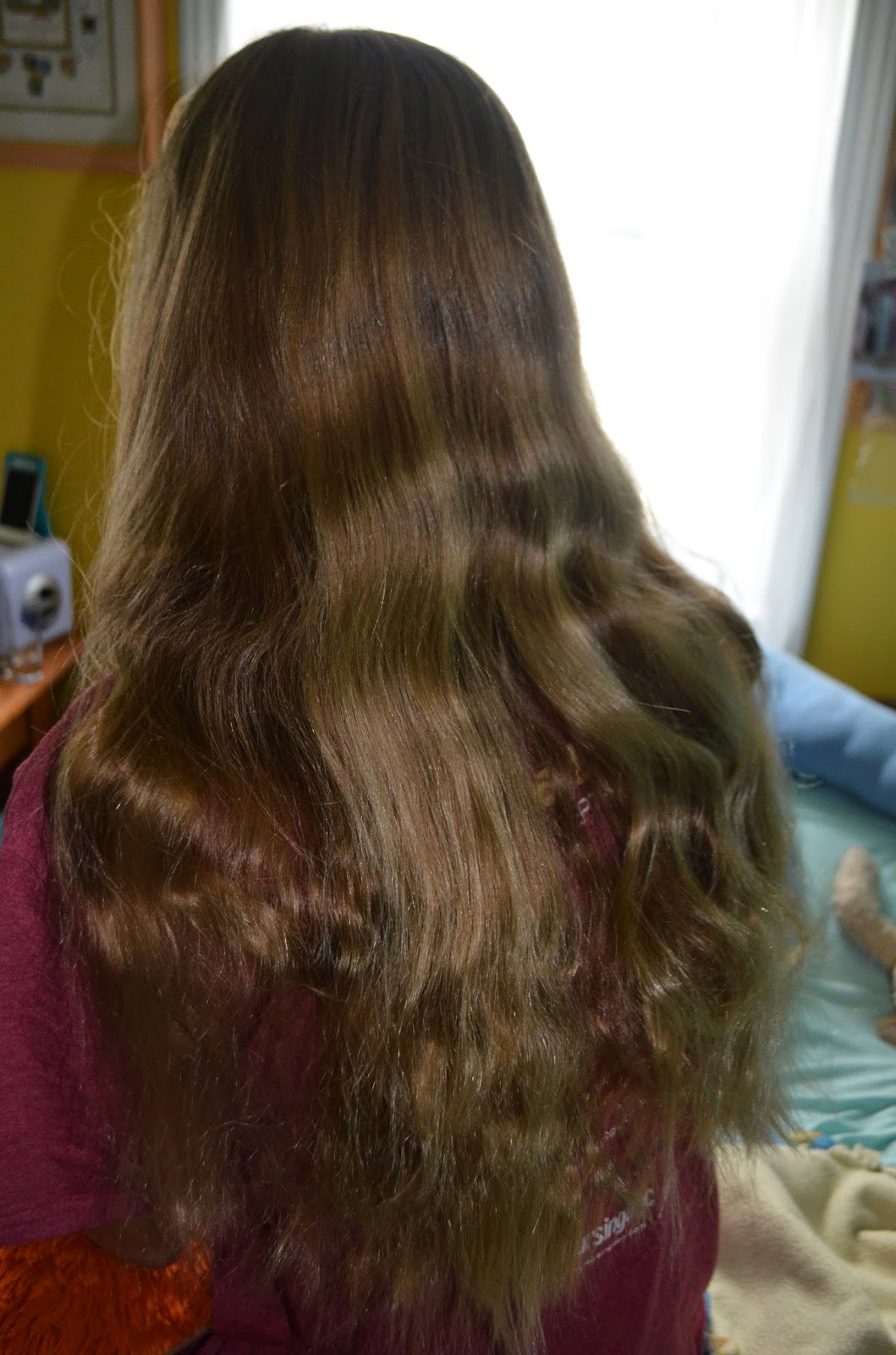 Heart of the Hartmans: Hairstyles by Jenna: 3D Split Braid Waves--FAIL