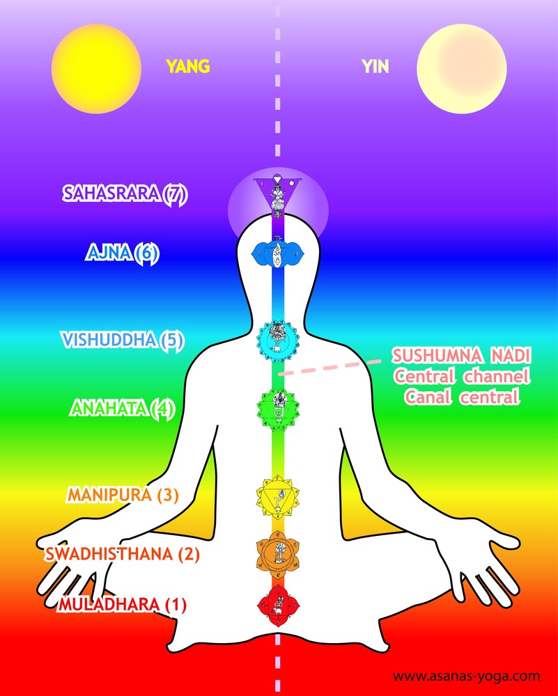 Acupuncture Treatment : Chakras and Acupuncture Points