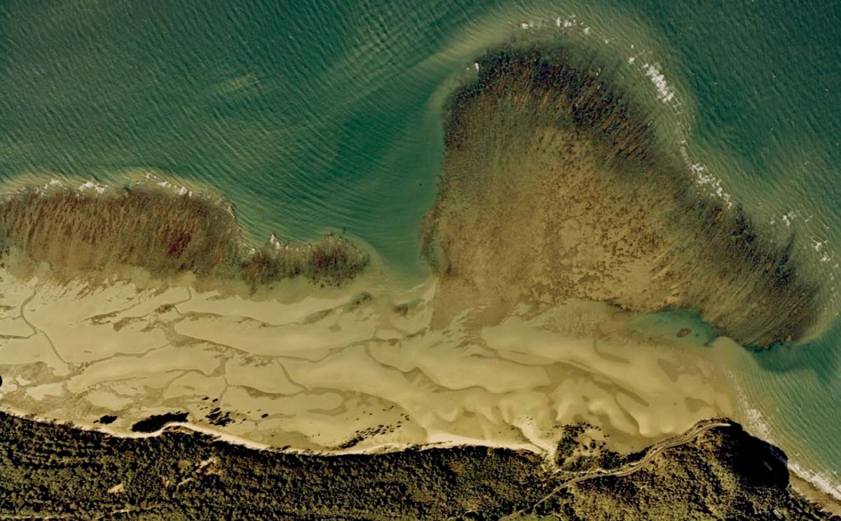 Queensland Coast: Coral Bleaching on Inshore Reefs near Cairns