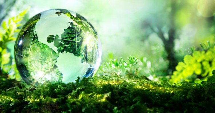 ECOLOGÍA 2020-1: Definición de ecología