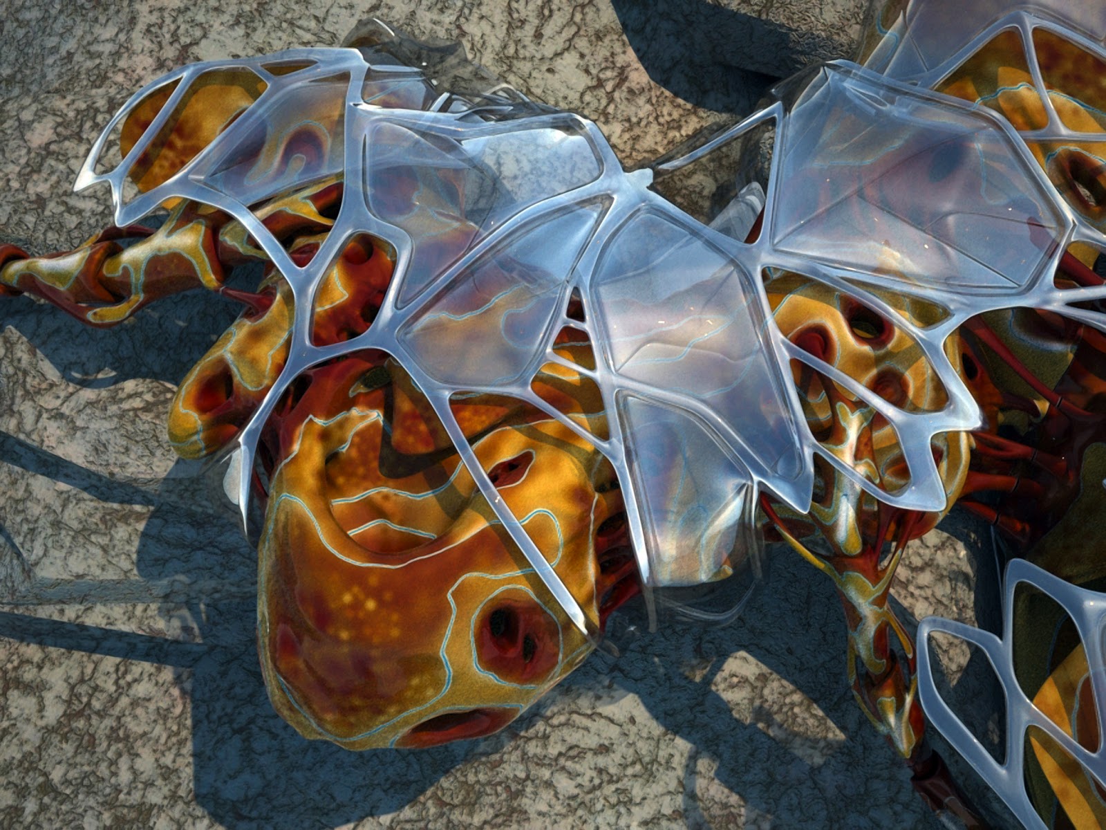 Theoremas: T4T LAB. MOLT S13