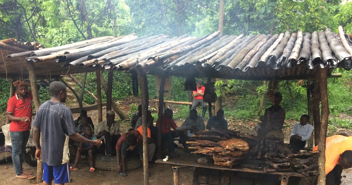 Congo Masquerade: Bushmeat: supply and demand in the Kongo Central Province
