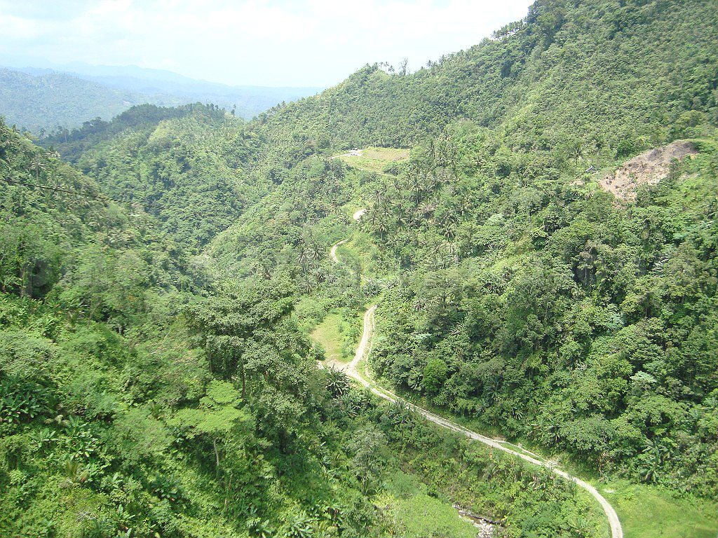 Southern Leyte - Agas-Agas Bridge, the Tallest Bridge in the ...