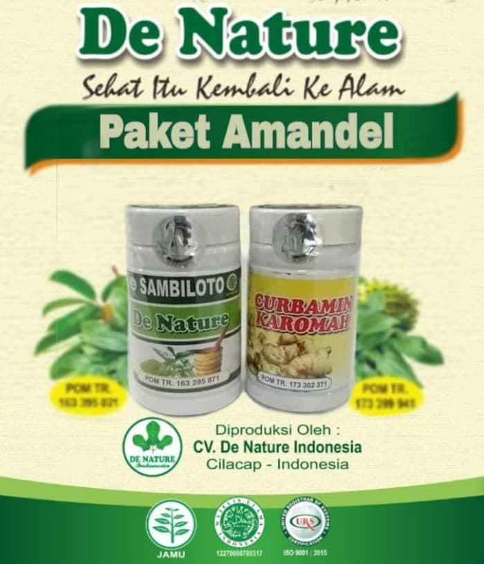 APA ITU RADANG AMANDEL DAN BAGAIMANA CARA MENYEMBUHKANNYA