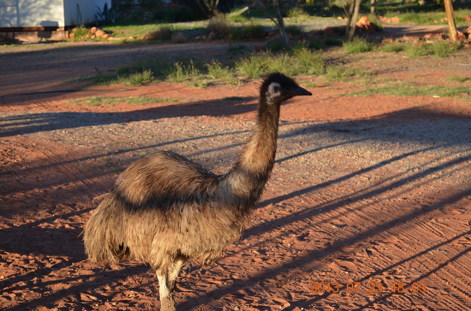 Central outback Australia: Erldunda