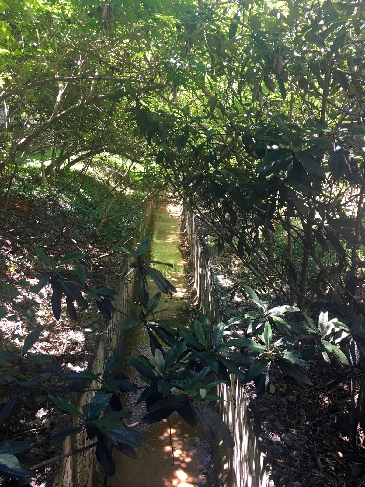 Parque Linear Invernada em São Paulo ~ Áreas Verdes das Cidades - Guia ...