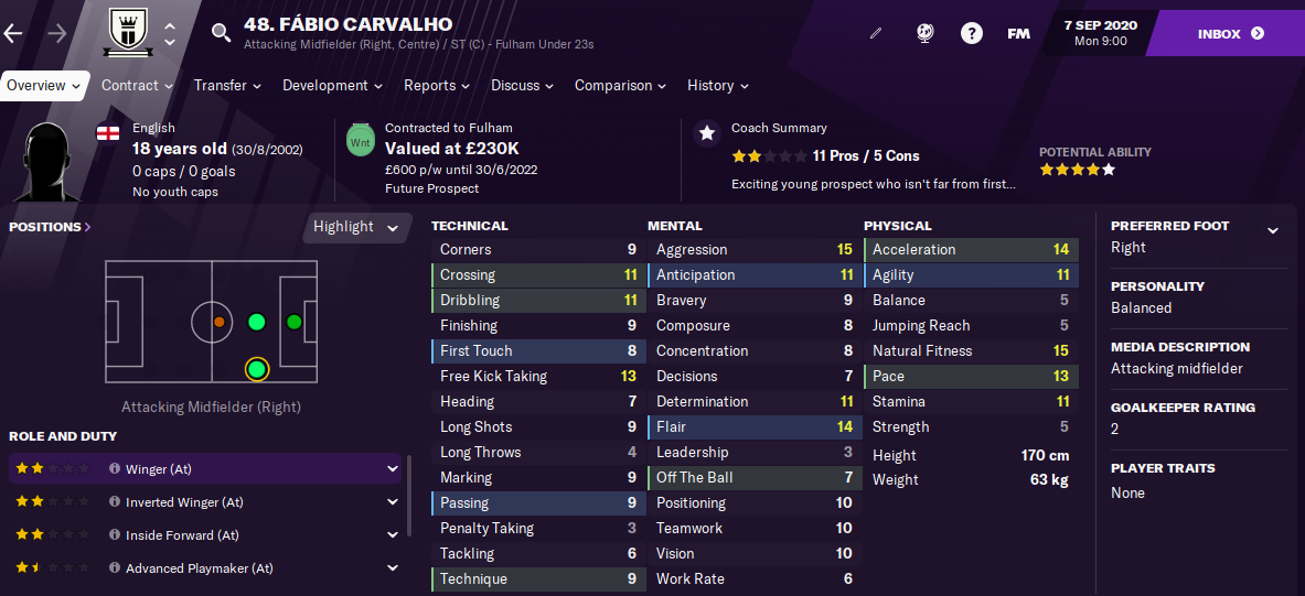 FM21 Fulham 4-3-3 Fluid Counter-Attack Tactic | Team Guide | FM Blog | FM24