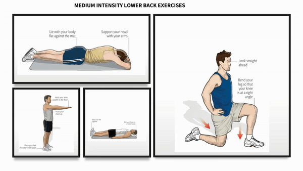 MEDIUM INTENSITY BACK AND BUTTOCK EXERCISES