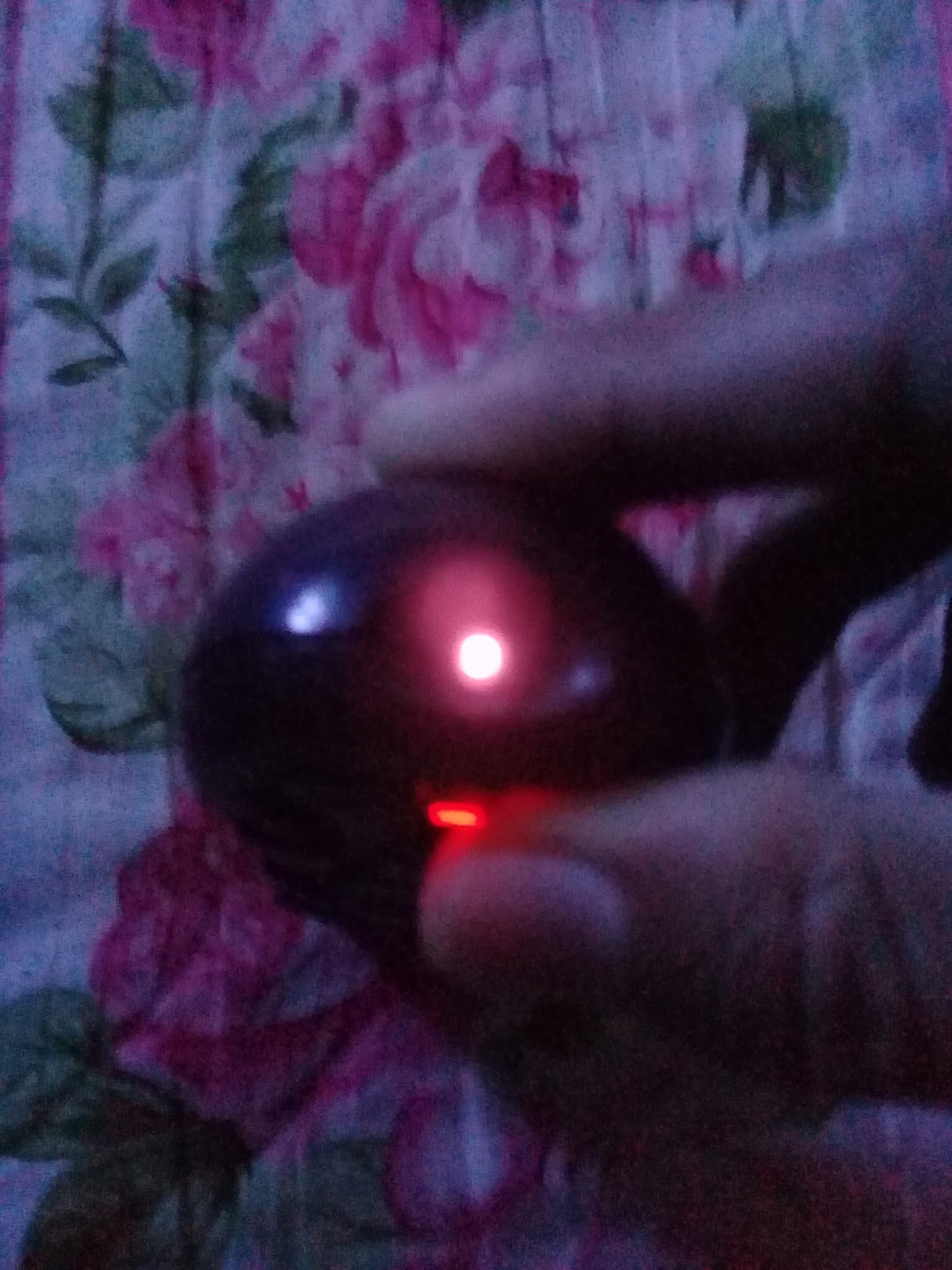 El Misterio de la luz Infrarroja