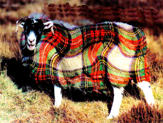 The Art Of Falling: 2012