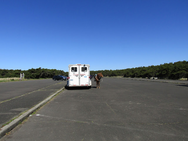 Holly's Horse Tales and Trails: Camp Wilkerson, Fort Stevens State Park ...