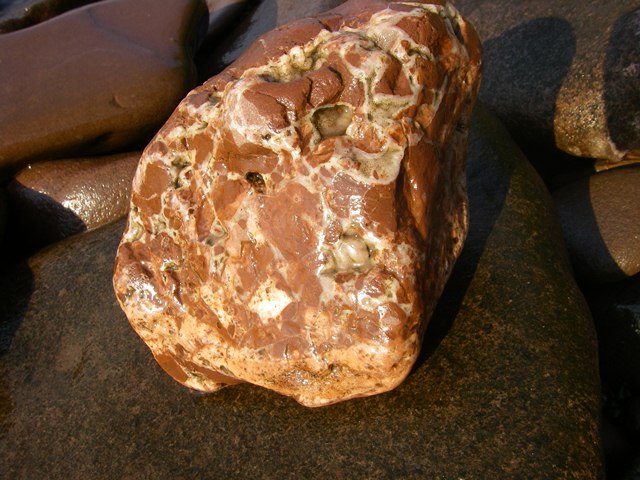 Serendipitous Intentions: Leaverites