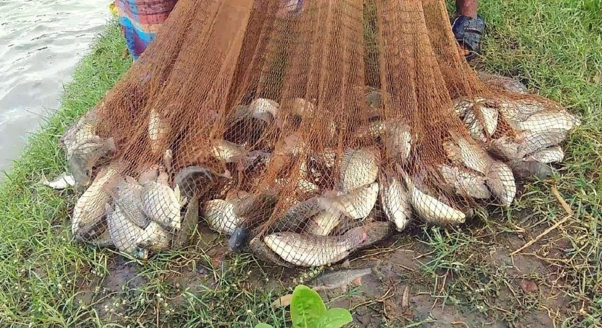 Techniques of fishing– Different Types formula and Fishing