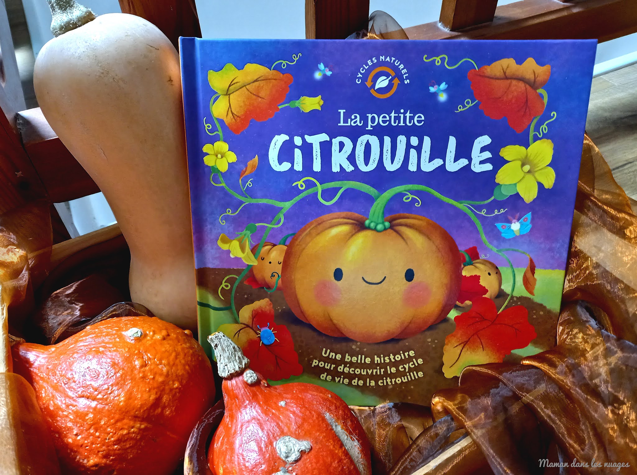 Maman dans les nuages: La petite citrouille