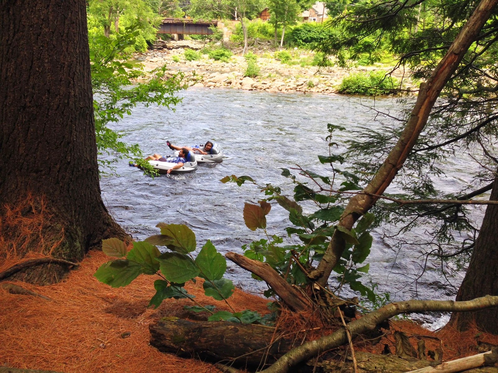 Velophoria: A Weekend at Mohawk Trail State Forest