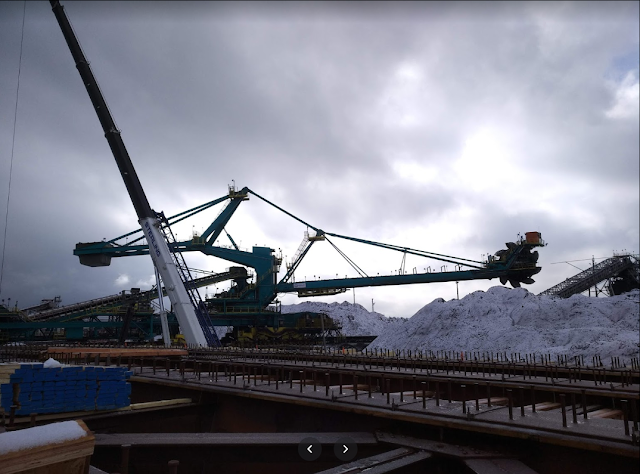 Towns and Nature: North Vancouver, BC: Neptune Bulk Terminals