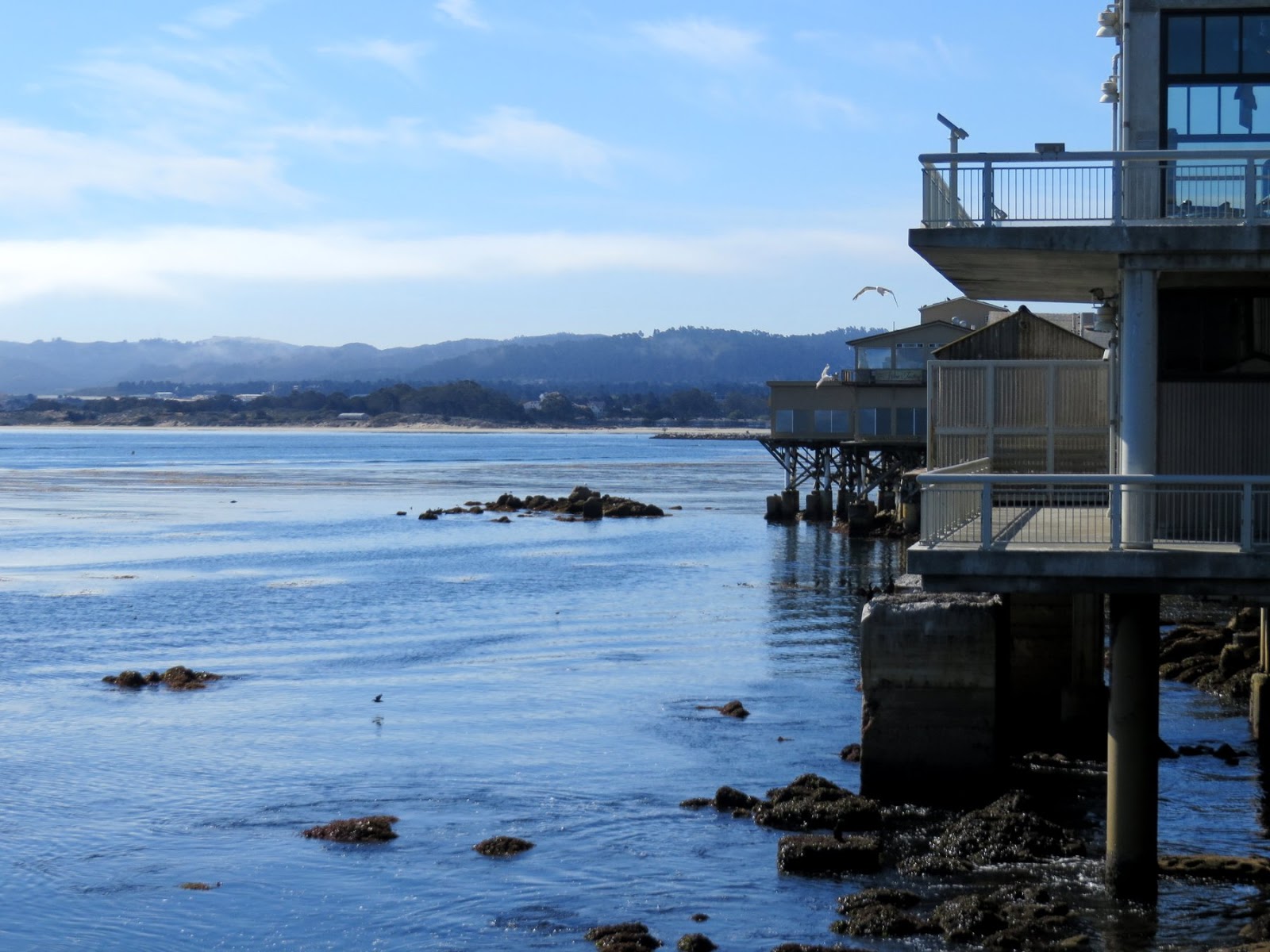 Gravel Beach: McAbee Beach
