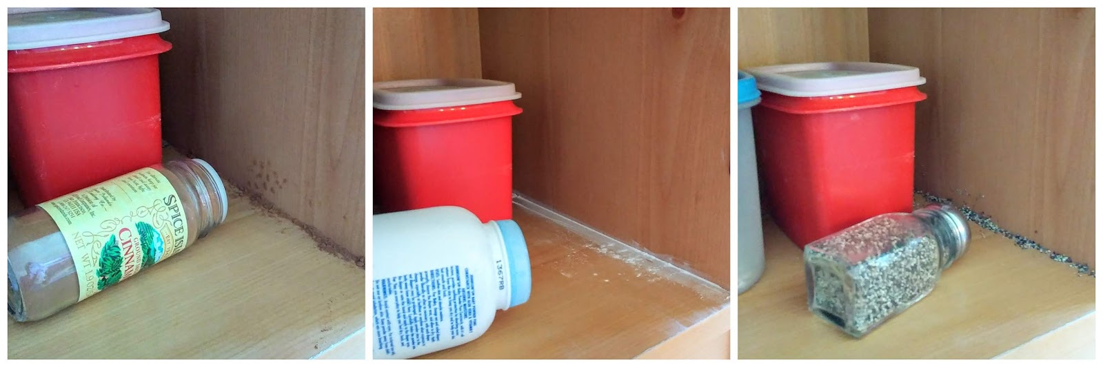 Natural homemade DIY solutions for pest prevention