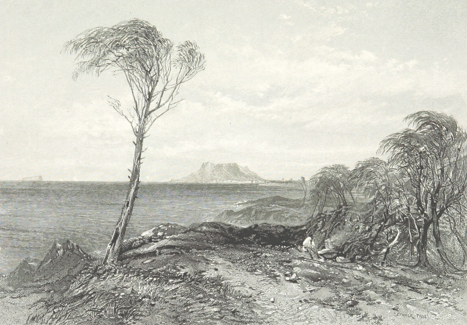 Maria Island, Tasmania - c. 1870's Engraving of a Drawing by John ...