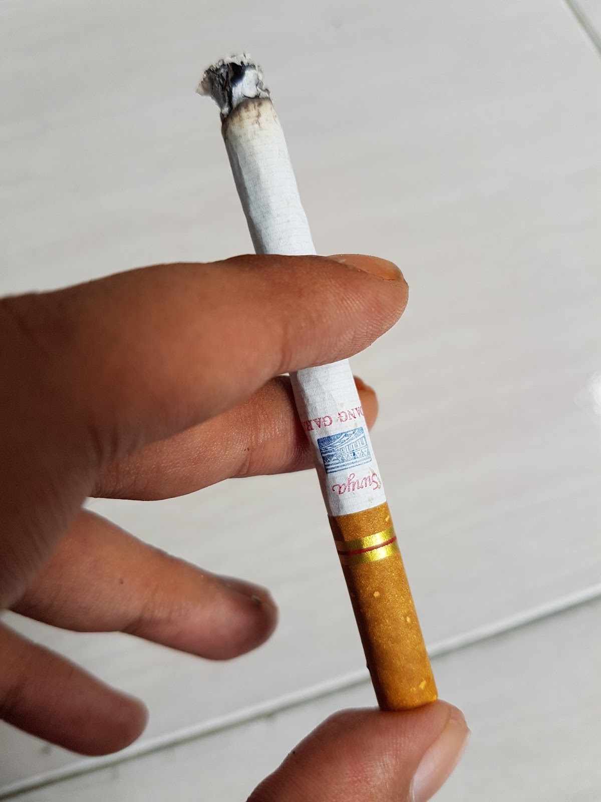 Gudang Garam Surya 12 Kemasan Coklat (Surya 16 isi 12), Introduksi ...