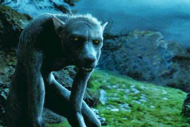 Movie werewolves - ranked on looks alone