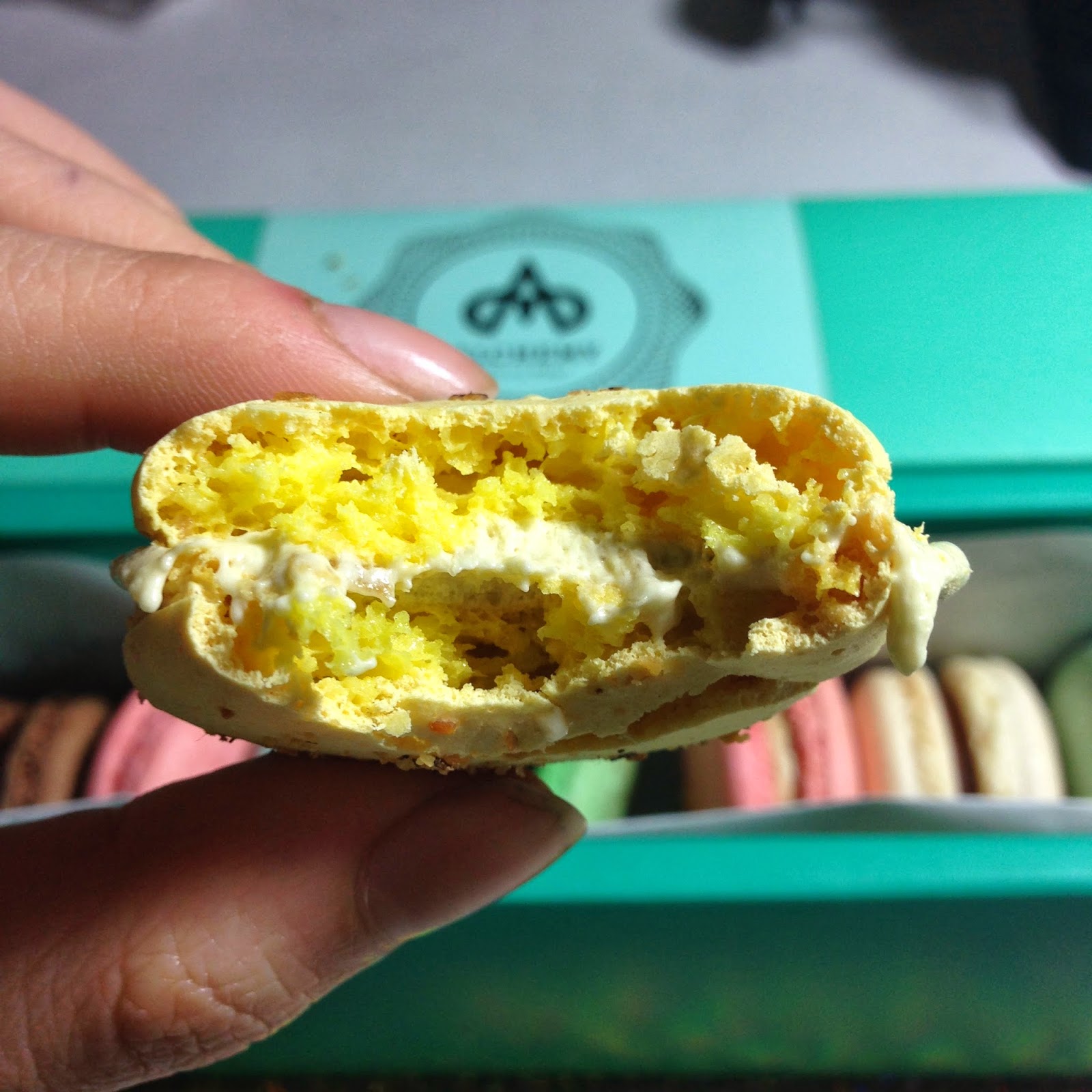 Alchemy Macarons | xx, Kathleen