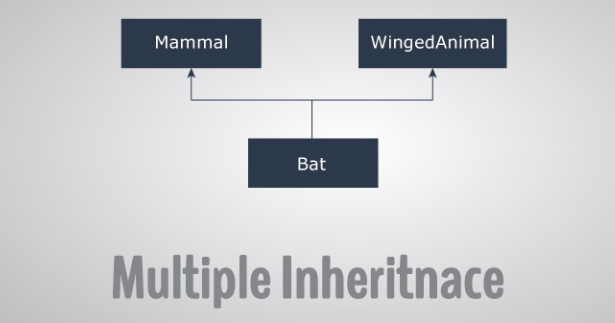 Multiple, Multilevel and Hierarchical Inheritance in C++