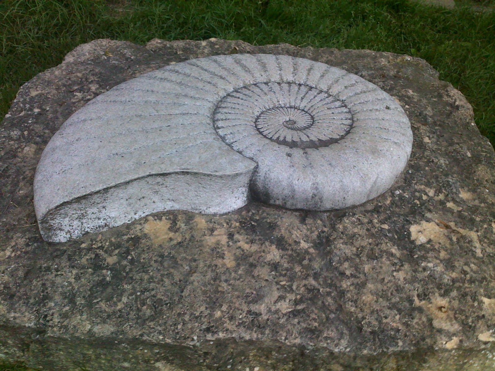 Photo's from my 'phone: July 2011