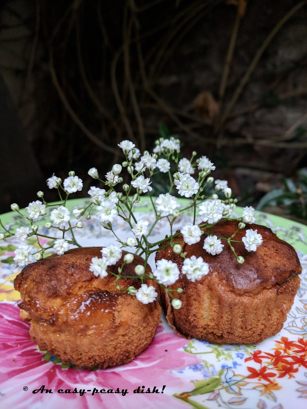 NONNETTES FROM DIJON (Orange gingerbread) - Easy-peasy dish...