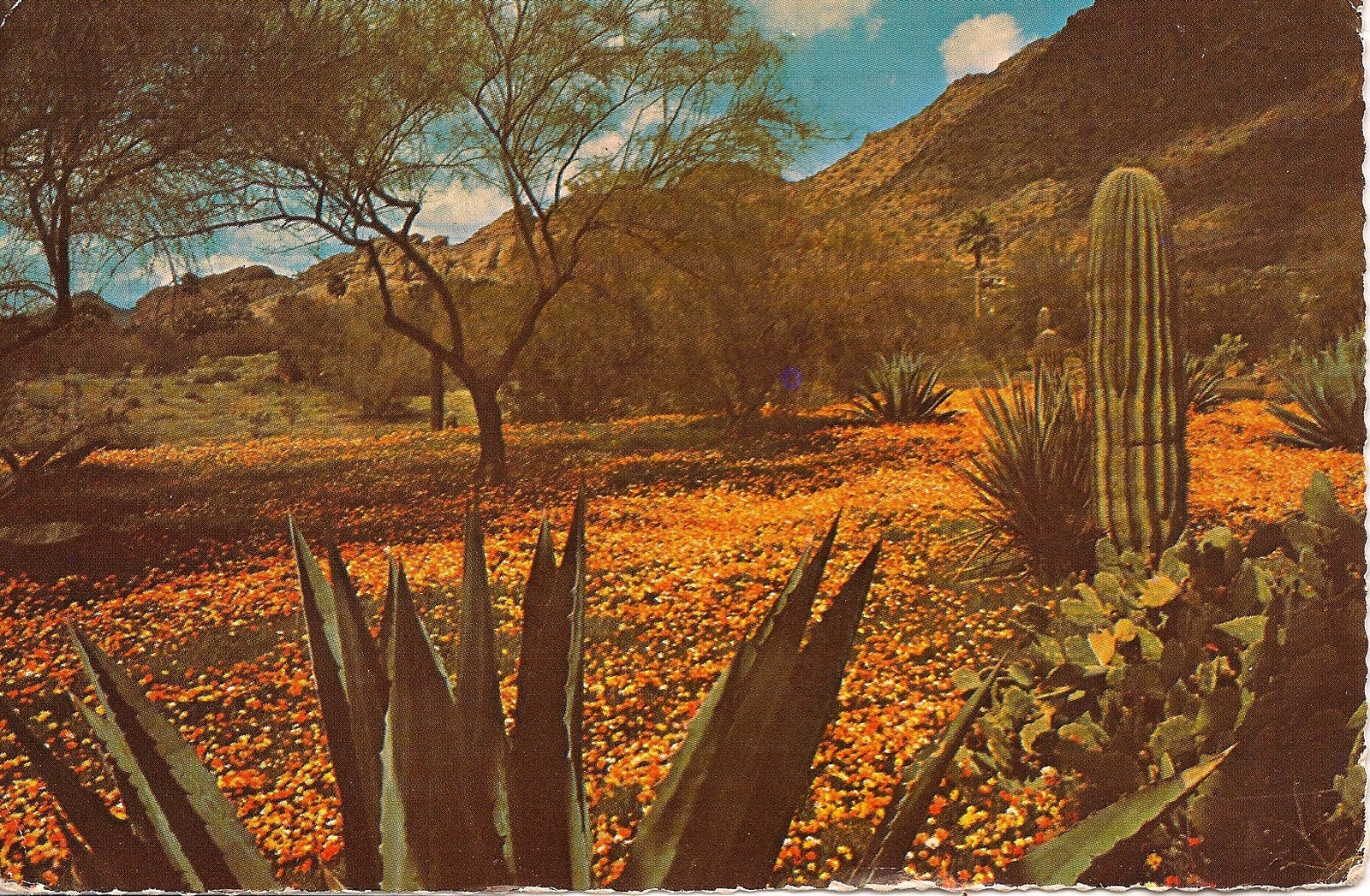 daily miscellany: Strange landscapes