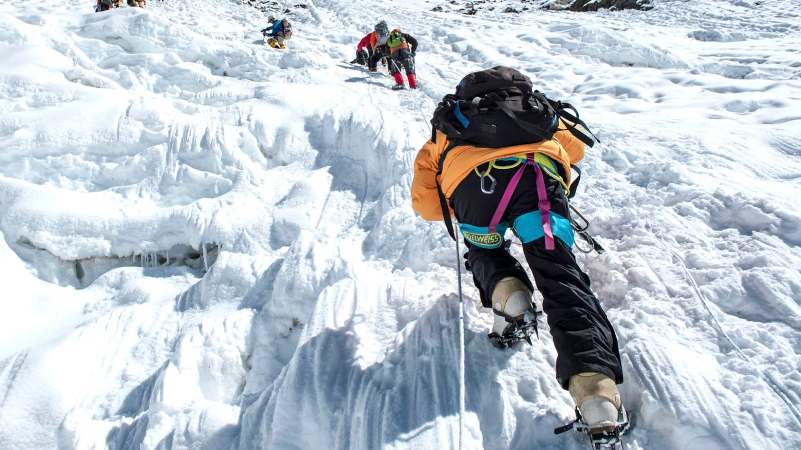 15 Tipe Pendaki Gunung di Indonesia, jadi Kamu Tipe Nomor Berapa? - Dzargon