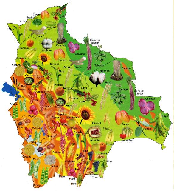 HOMO BOLIVIANUS: Agricultura en Bolivia