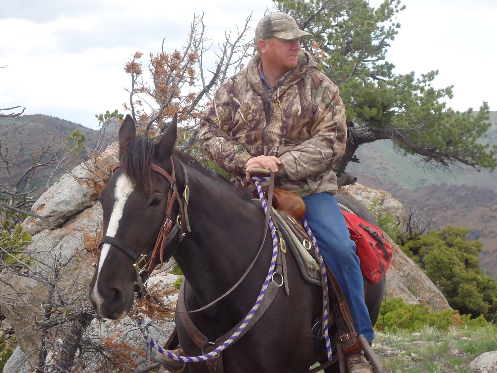 The Atnip Family's Blog