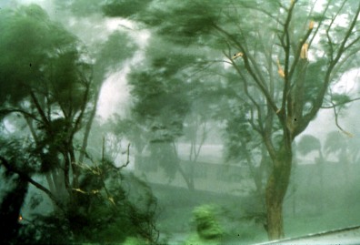 ma. aurora ecoben's page