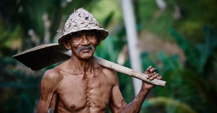 Grammyisms: How are the Elderly Treated in....Japan?