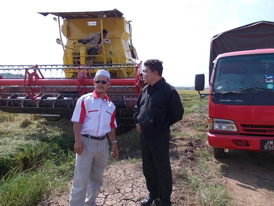 KAMPUNG SAWAH RING: KOBERA