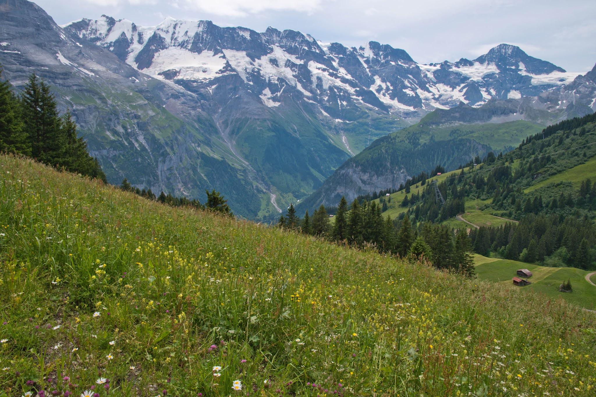 Hiking Shenandoah: Murren Mountain View Trail