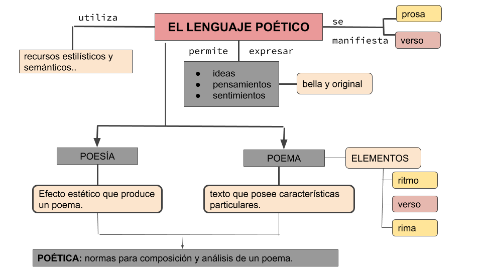 LENGUA Y LITERATURA UNIDAD EDUCATIVA PARTICULAR "SAN VICENTE DE PAÚL ...