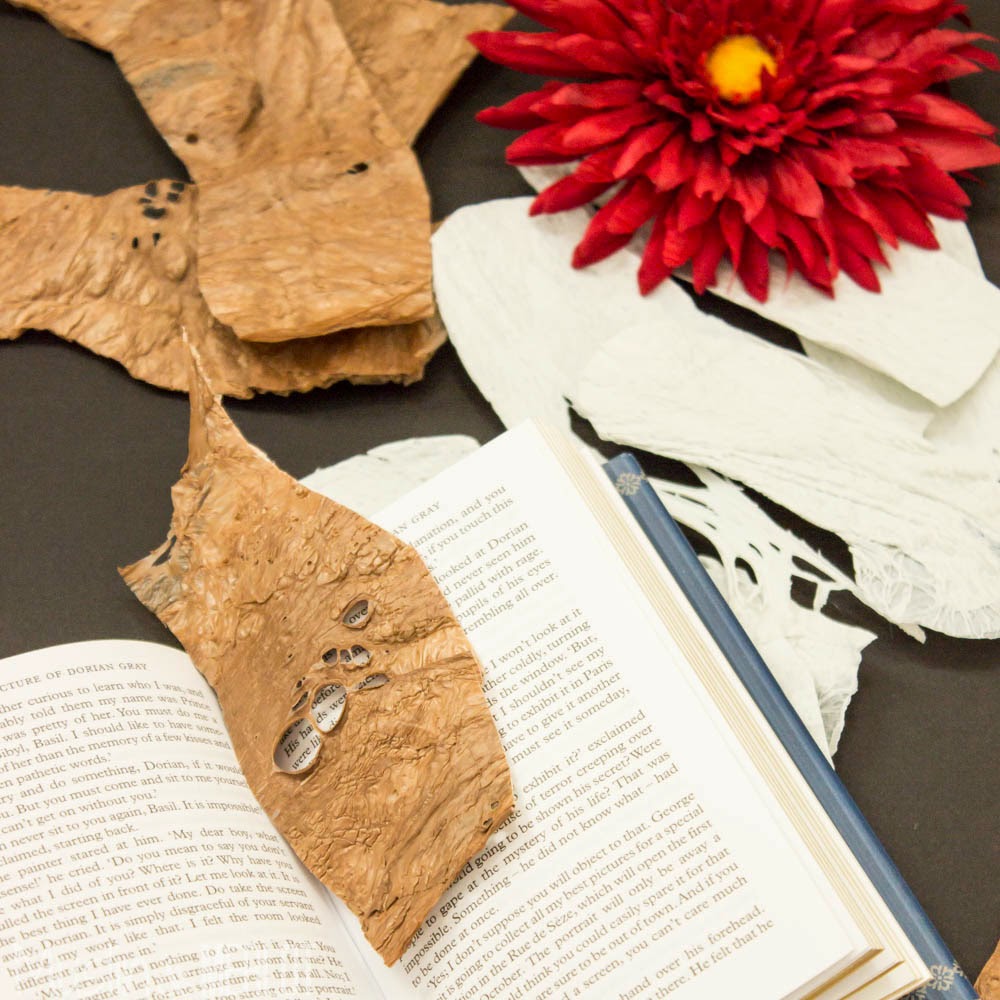 Parchment Made From Human Skin at Lavina Flippen blog