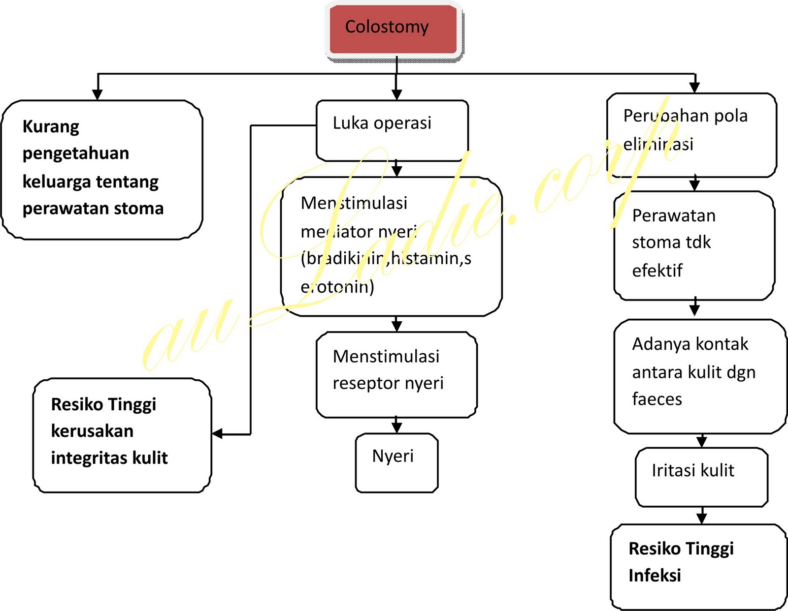 Nursing Path: Pathophysiology of Hirschsprung| Patofisiologi Hirschsprung