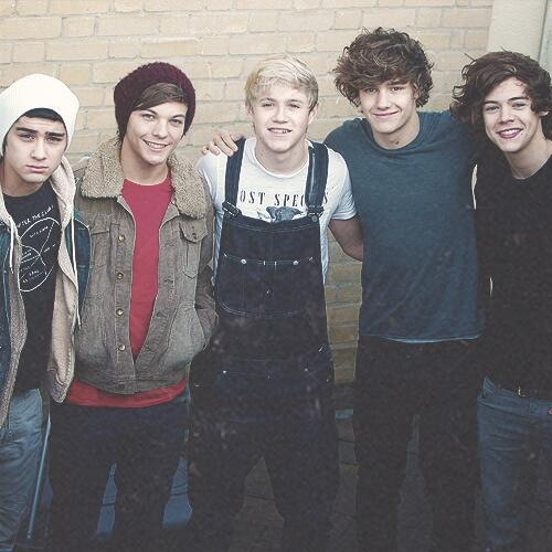 BIODATA ONE DIRECTION: BIODATA ONE DIRECTION