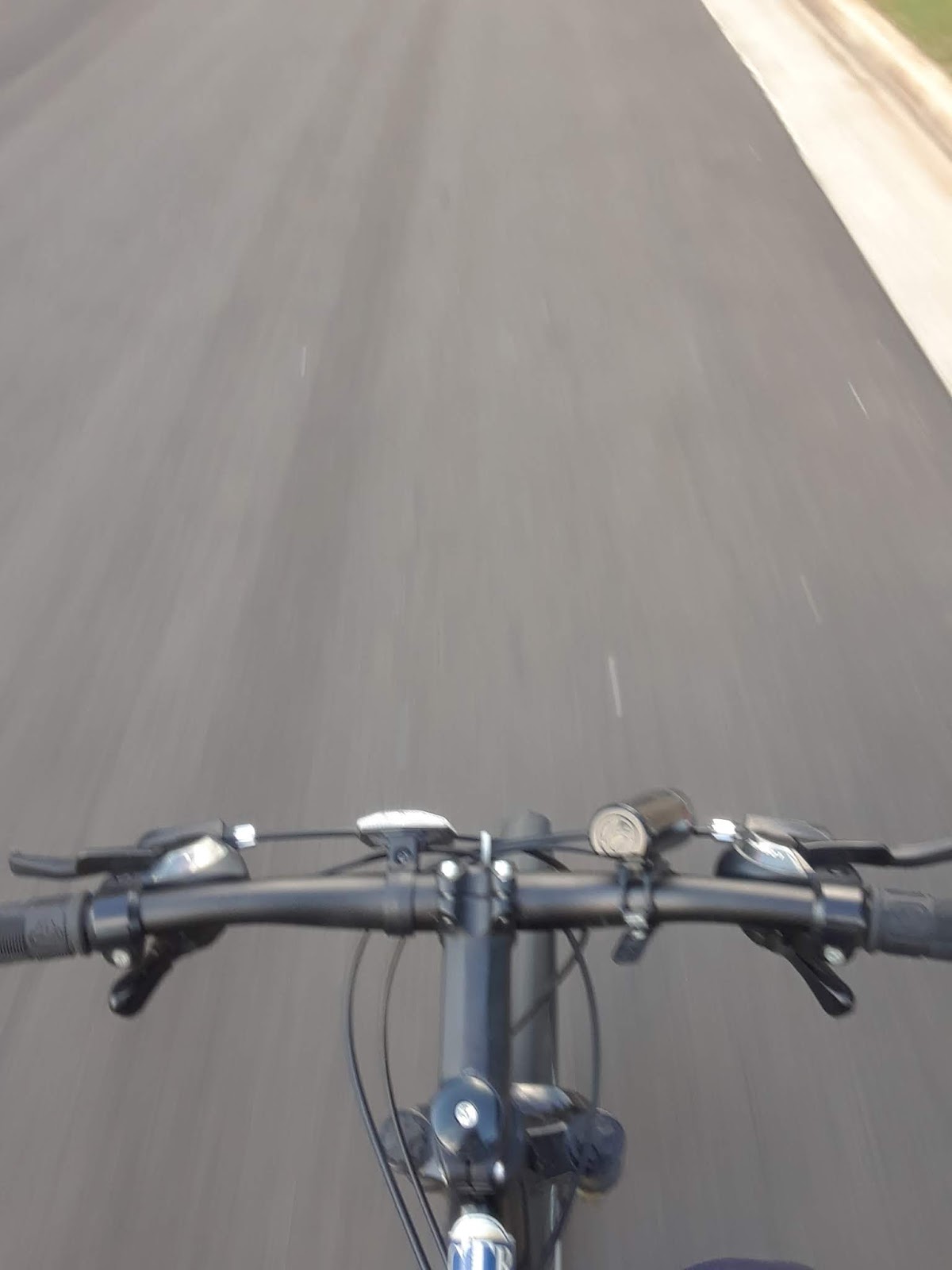 Elder Michael Milius