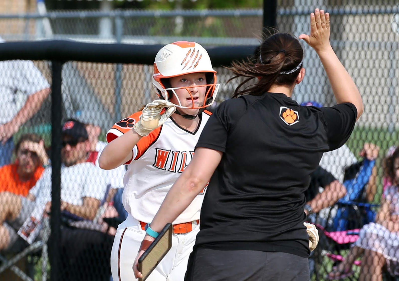 Mark Kodiak Ukena: IHSA Softball Class 4A Sectional Final: Hersey vs ...