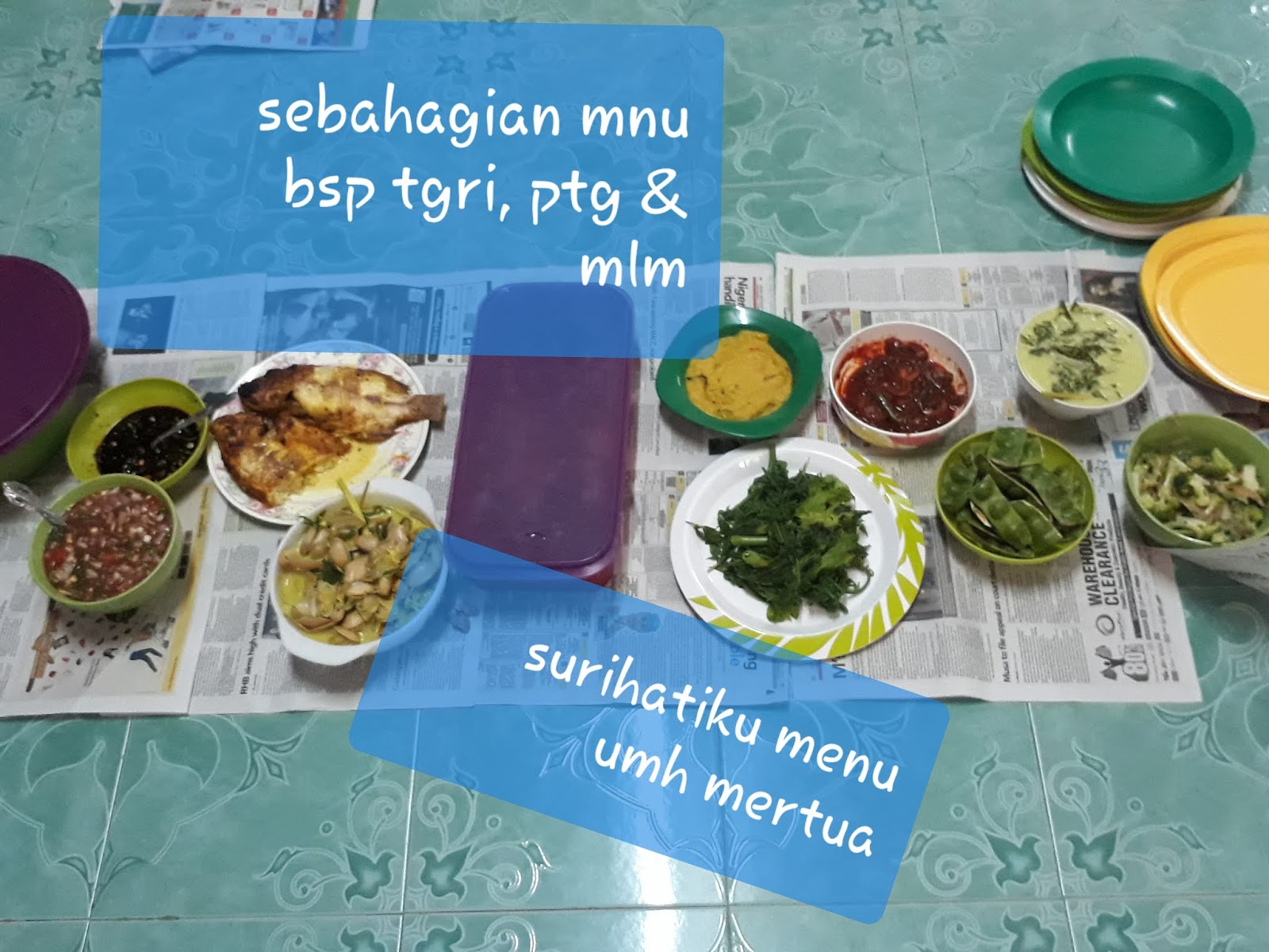 Beli, review one touch glucometer lazada for hamila bsp_gdm diet